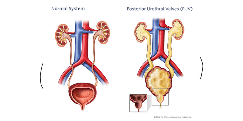 Mahendra Singh Punia| Department Details